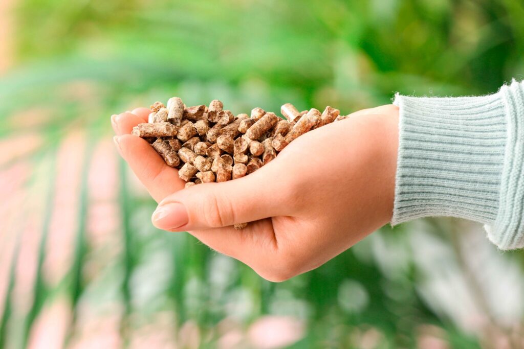 Diseño Interior y Estufas de Pellets - Joima